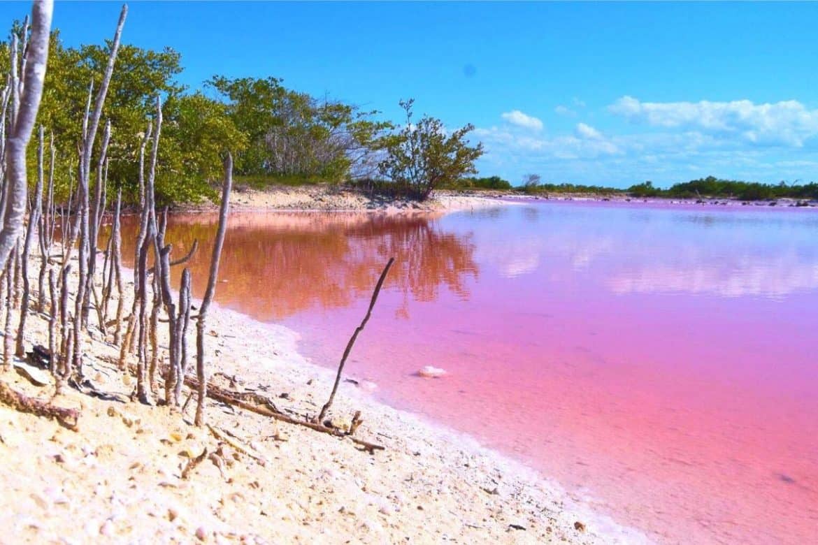 12 Stunning Pink Lakes in the World You Didn’t Know Existed