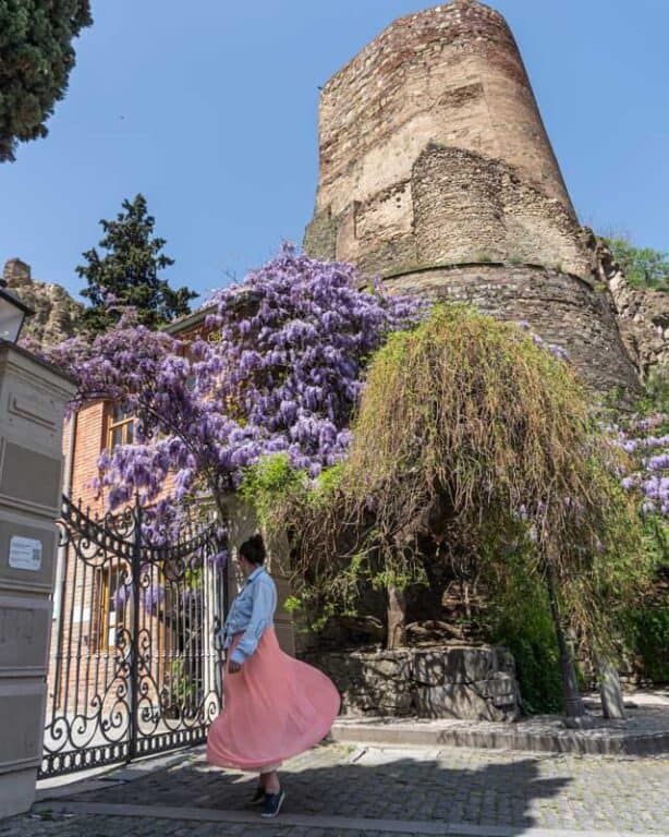 Tbilisi in Spring - 18 Fun Spring Activities & Events