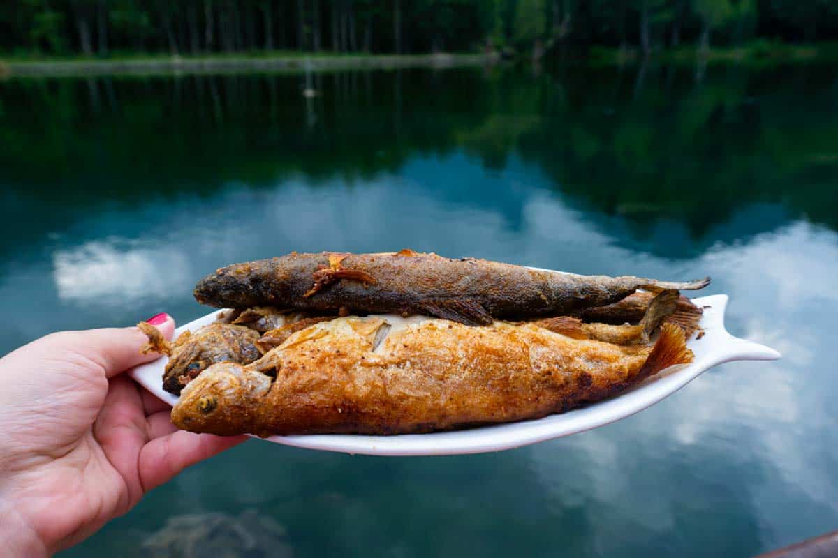 18 Things to Do in Racha | Your Racha-Lechkhumi Travel Guide