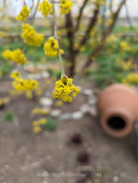 26 Ways to Enjoy Tbilisi in Spring Like a Local in 2025