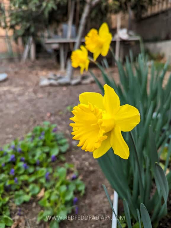 26 Ways to Enjoy Tbilisi in Spring Like a Local in 2025