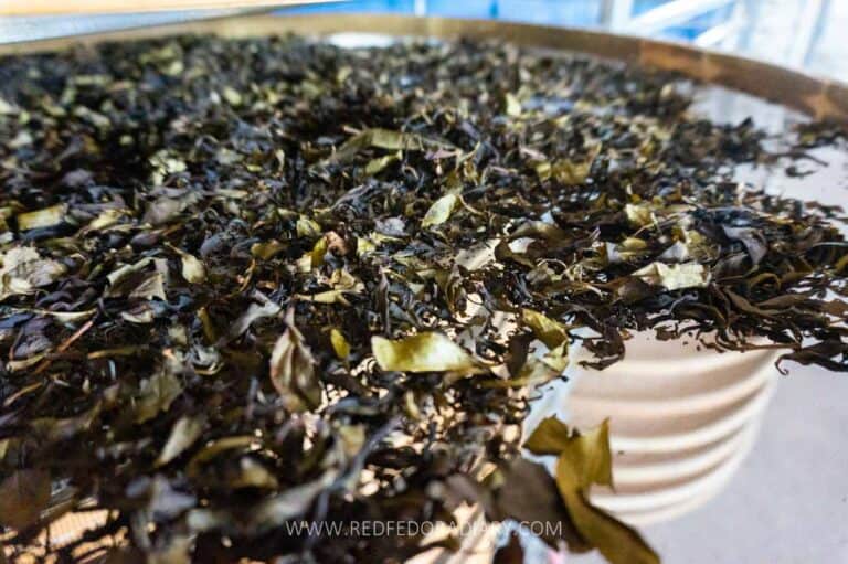 Georgian Tea: A Forgotten Treasure in the World of Teas