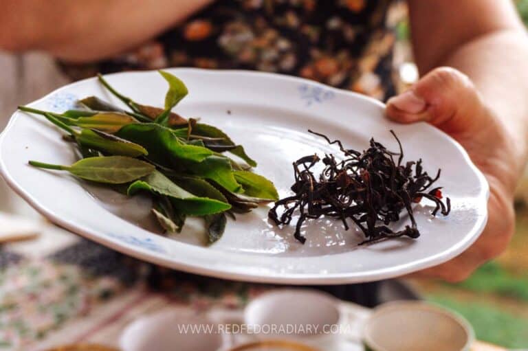 18 Things to Do in Ozurgeti - Explore Guria’s Capital