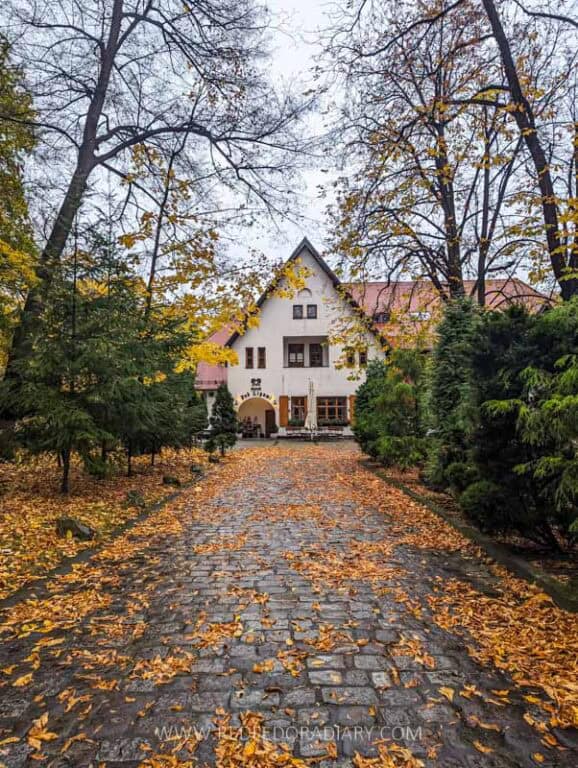 19 Things to Do in Katowice - Poland’s Historic Mining City