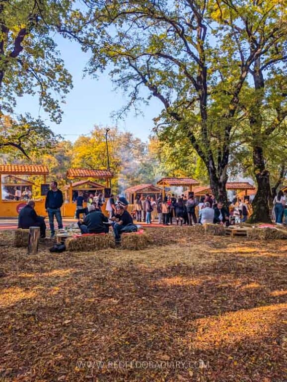 20 Fun Things to Do in Autumn in Tbilisi for 2025 + Tips