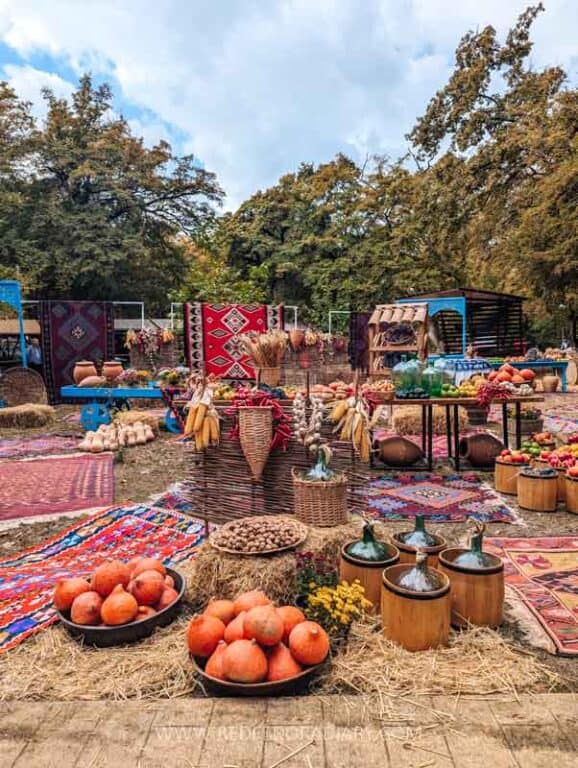 20 Fun Things to Do in Autumn in Tbilisi for 2025 + Tips