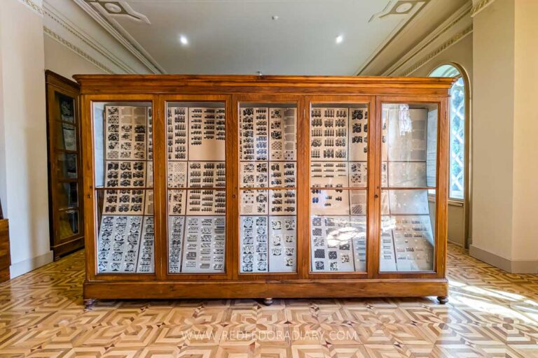 25 Best Museums in Tbilisi for Culture, History & Art