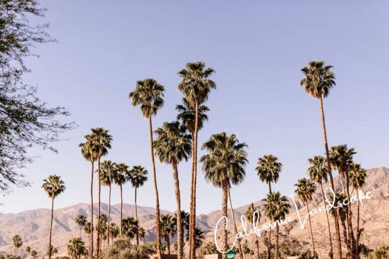 Top 10 California Spring Break Destinations for 2026