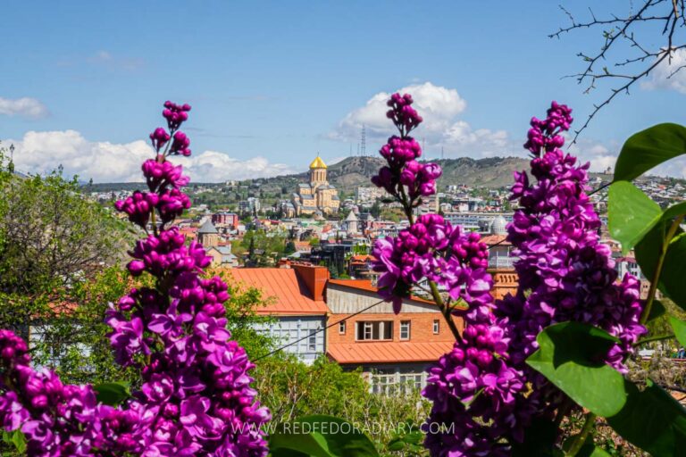 26 Ways to Enjoy Tbilisi in Spring Like a Local in 2025