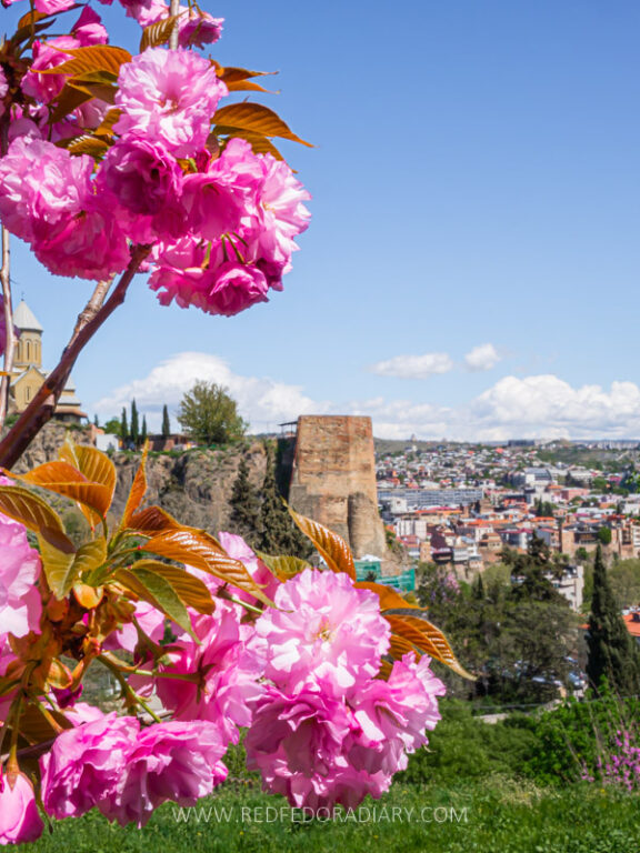 26 Ways to Enjoy Tbilisi in Spring Like a Local in 2025