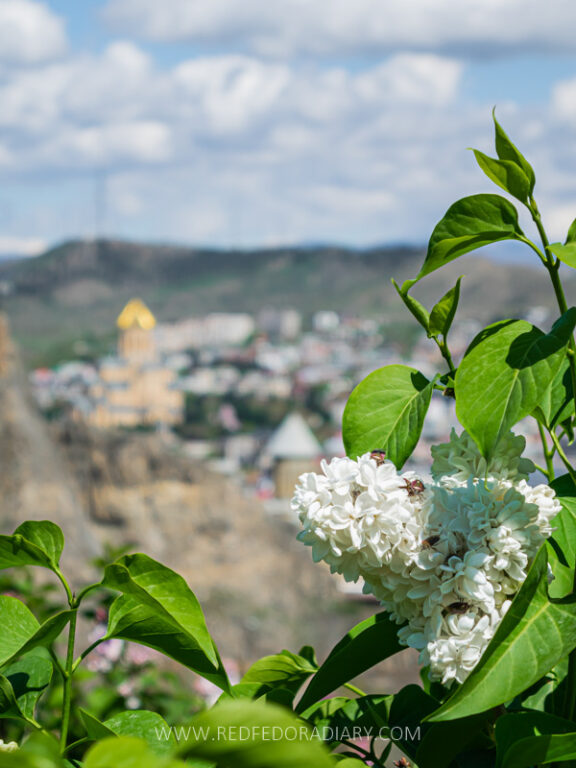 26 Ways to Enjoy Tbilisi in Spring Like a Local in 2025