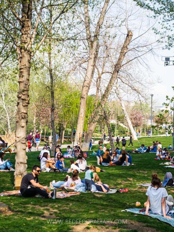 26 Ways to Enjoy Tbilisi in Spring Like a Local in 2025