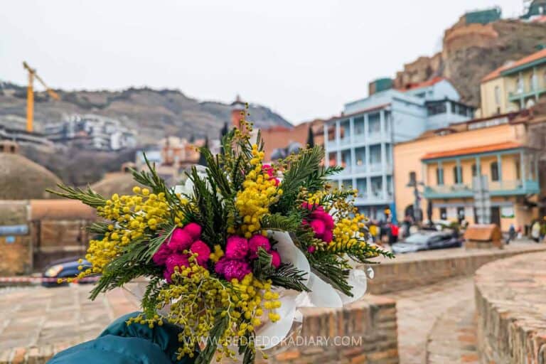 26 Ways to Enjoy Tbilisi in Spring Like a Local in 2025