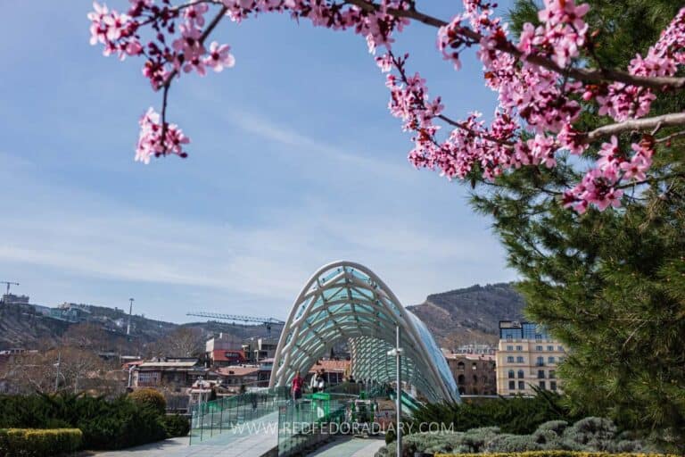 26 Ways to Enjoy Tbilisi in Spring Like a Local in 2025